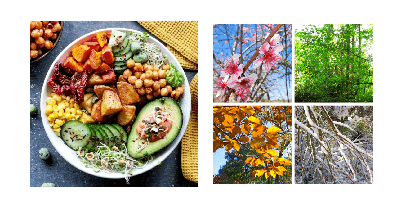 "season"の「季節」以外の意味とは｜Tatsu