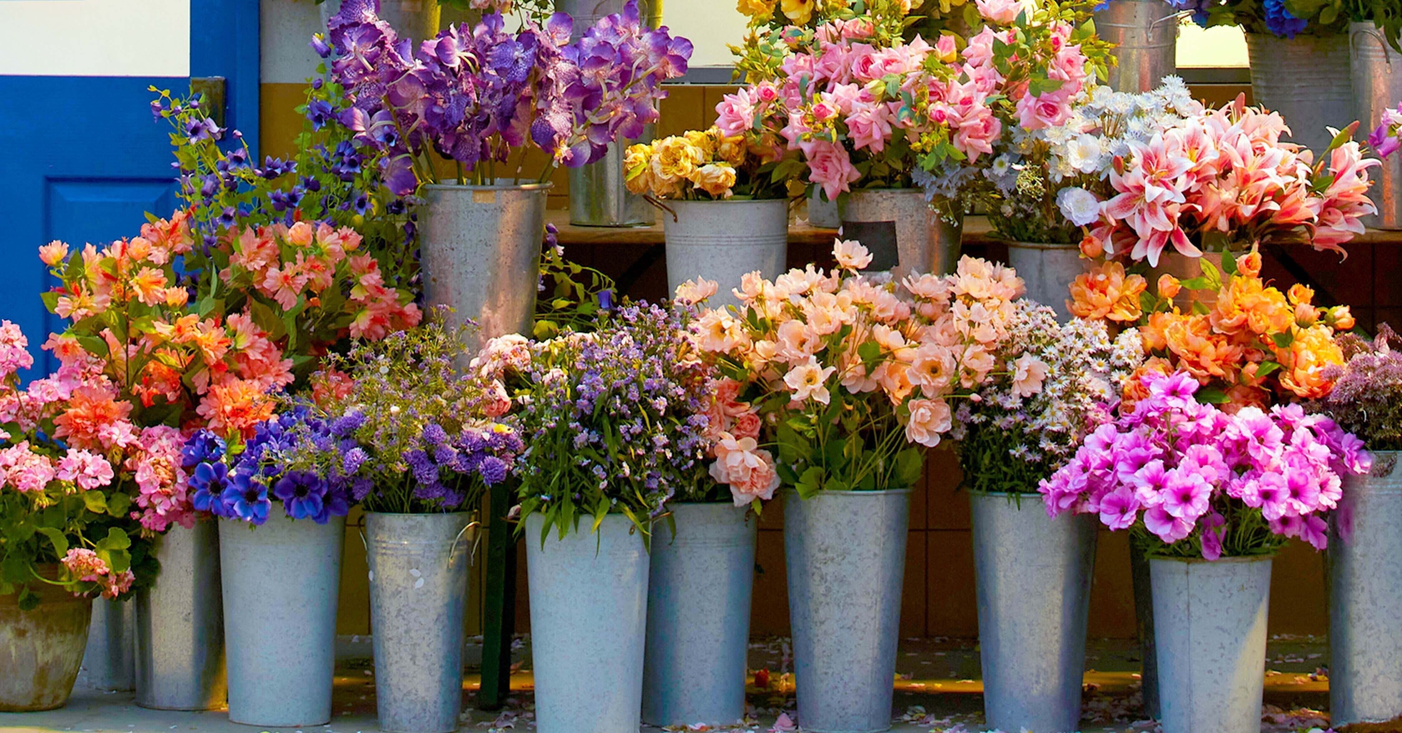 miyu@2人目妊活と日々の生活｜note