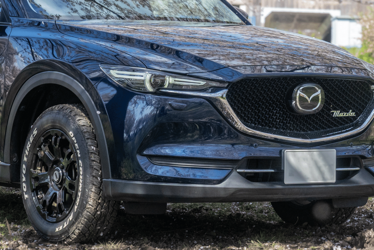 【Nikon Z5Ⅱ 発表目前】Nikon Z5と1年過ごした感想｜くろどん │ 育児と写真