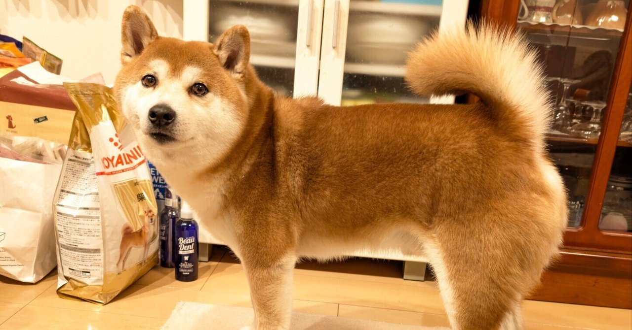 家に到着！｜Akihiko Oosugi