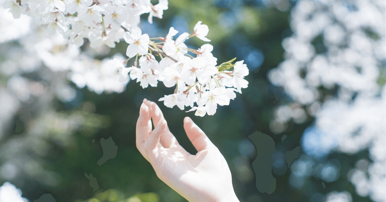 結局一番の親孝行ならぬ先輩孝行（上司孝行）ってこれだと思ってるよ｜大森 純 | Sumi Ohmori