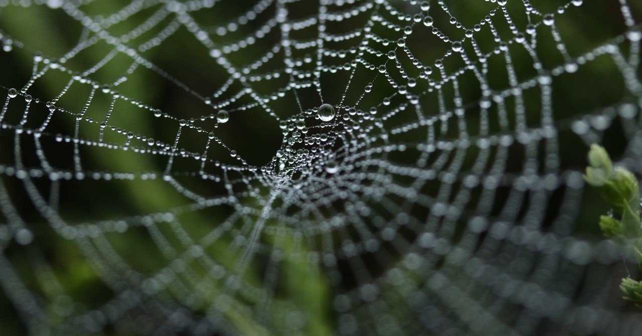 #8"陥りやすい罠"｜matsu｜note