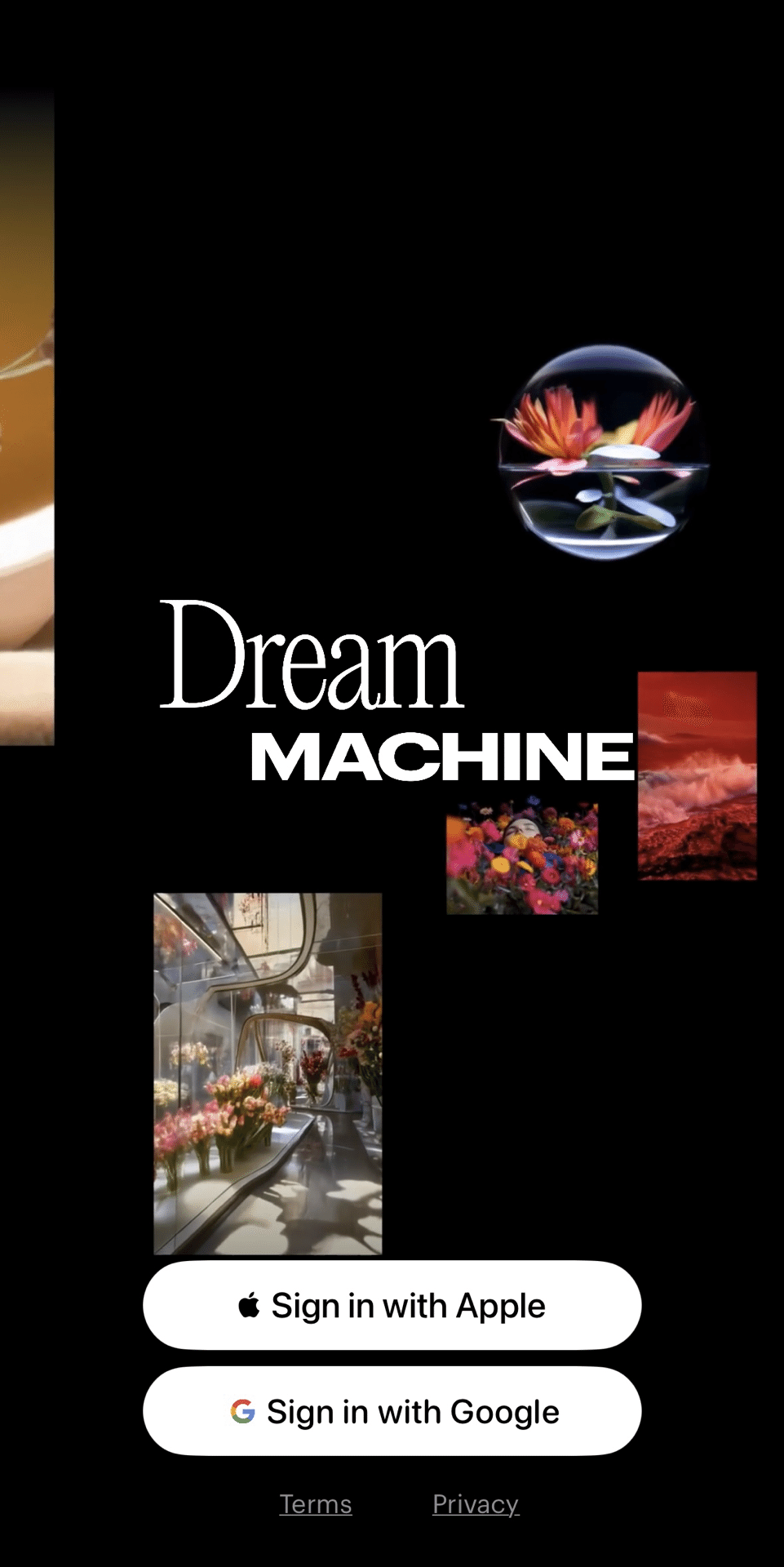 Luma Ray2 教科書：ゼロから始める動画生成ガイド｜Monmo_Studio