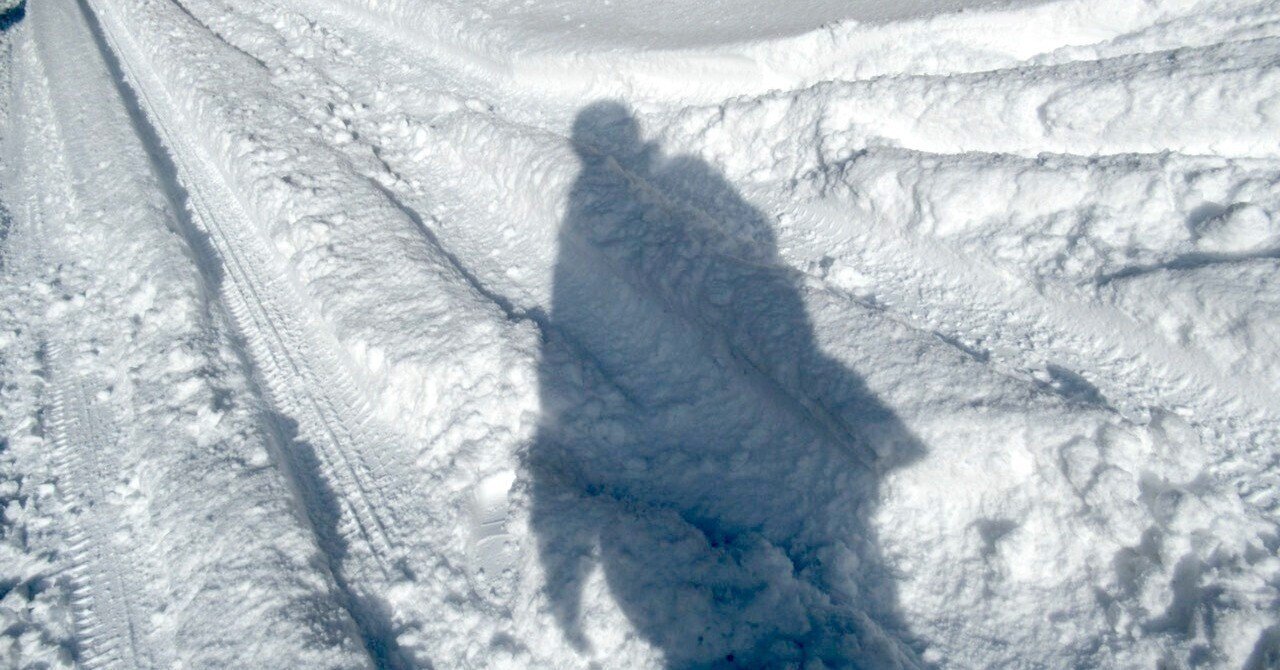 2025年2月まとめ｜RINO Photography