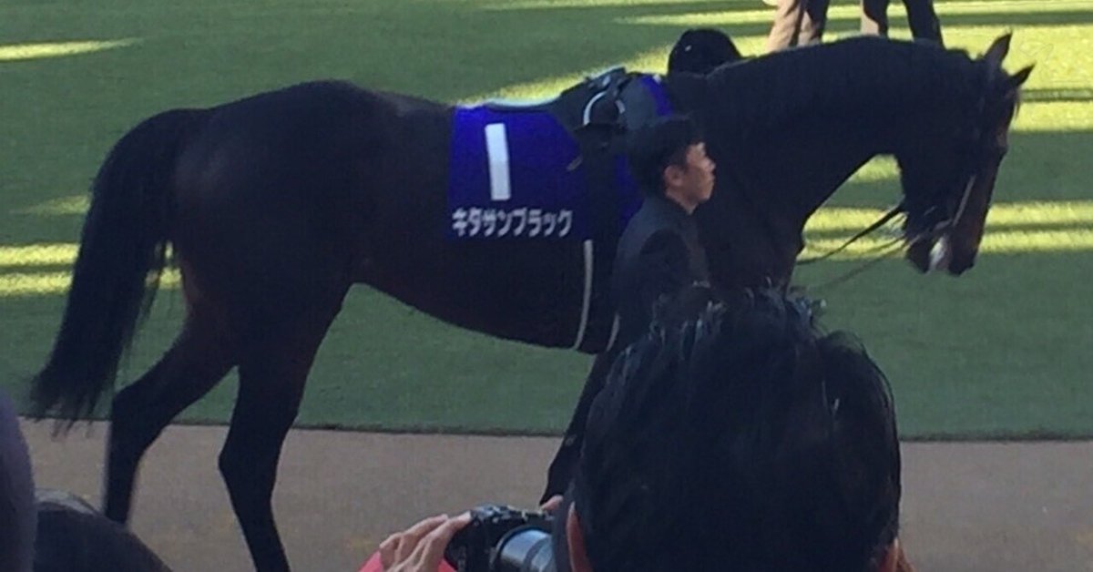 [JRA]GII金鯱賞2025サイン考察③JRAVAN公式X｜鳩胸男のサイン競馬