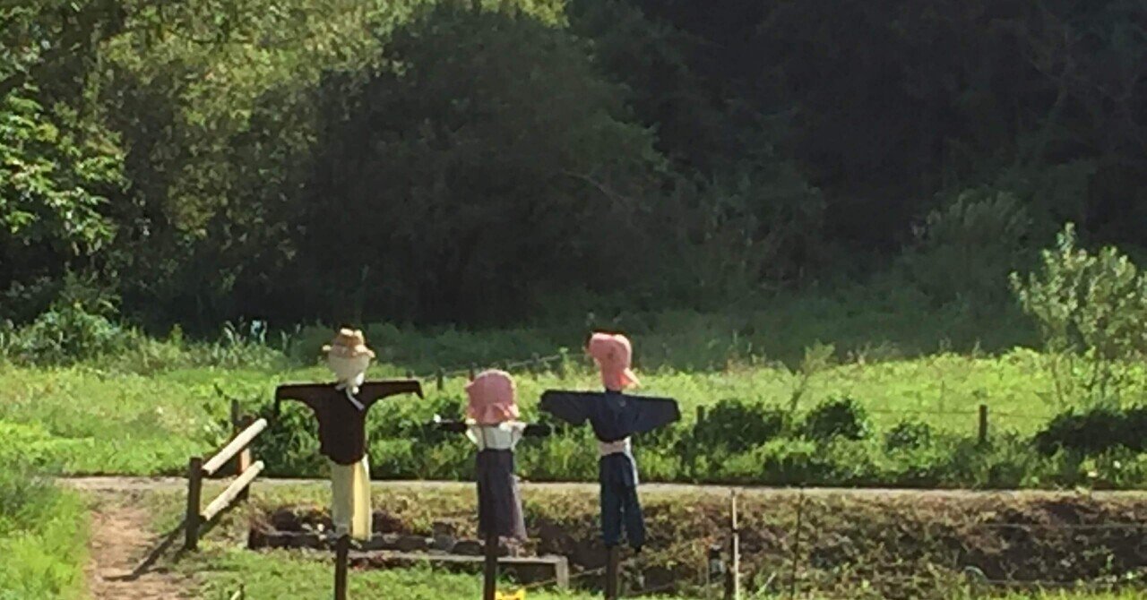 ユーザー視点を獲得するために必要なこと｜Fumito SATO