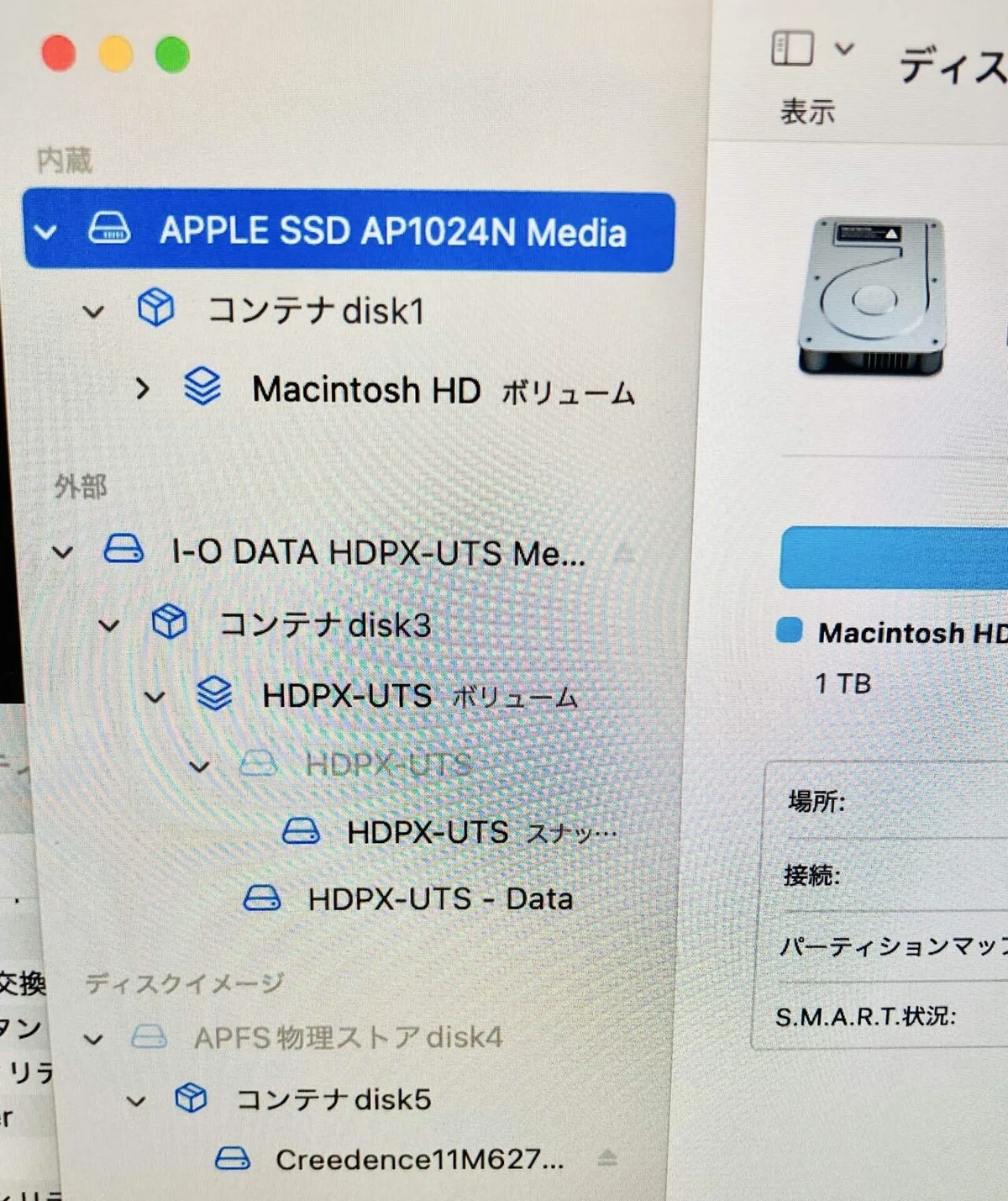デジタル・サバイバルをChatGPTと駆け抜ける｜Karen Tokita 〜優しいうた・ボサノヴァ〜