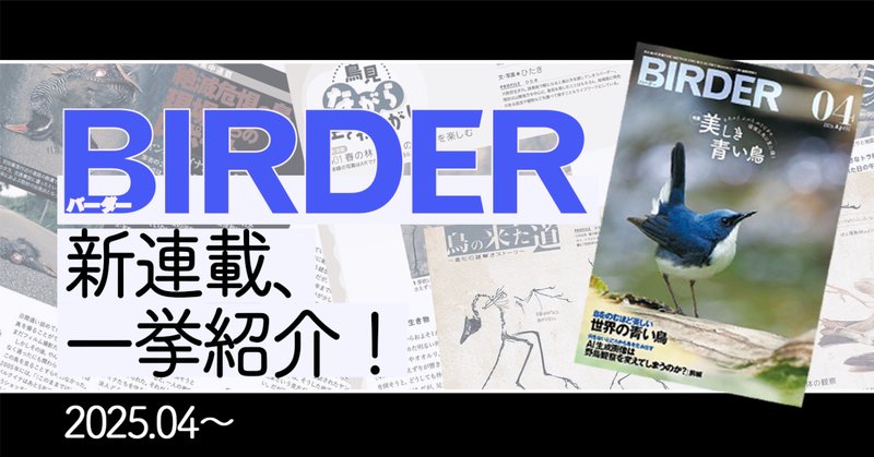 ヤンバルクイナ」の人気タグ記事一覧|note ――つくる、つながる ヤンバルクイナ」の人気タグ記事一覧|note ――つくる、つながる