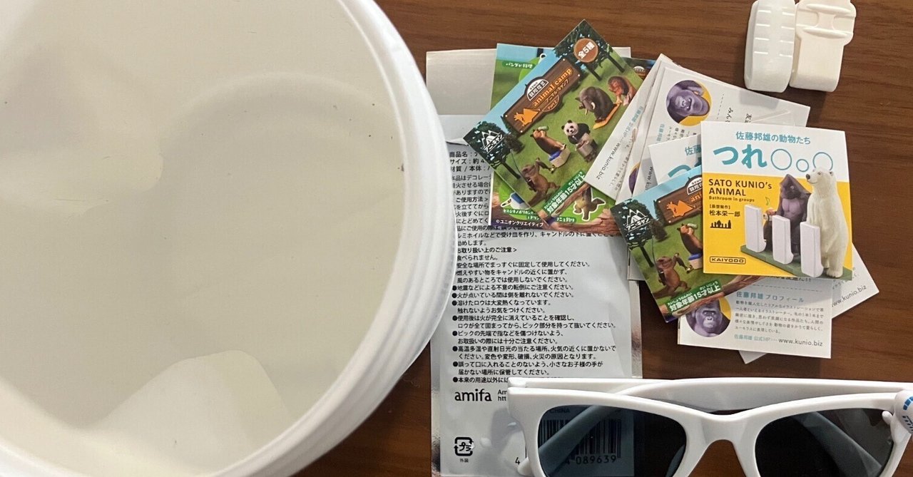 バタバタの日でも捨てる 2日目｜toiro