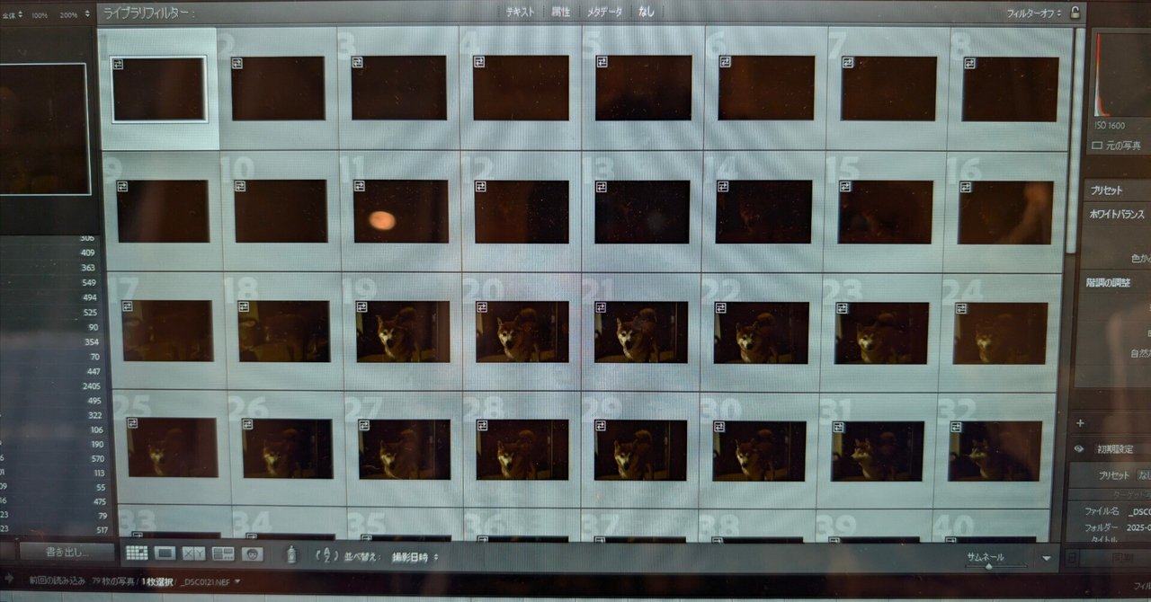 洗練された画｜Akihiko Oosugi