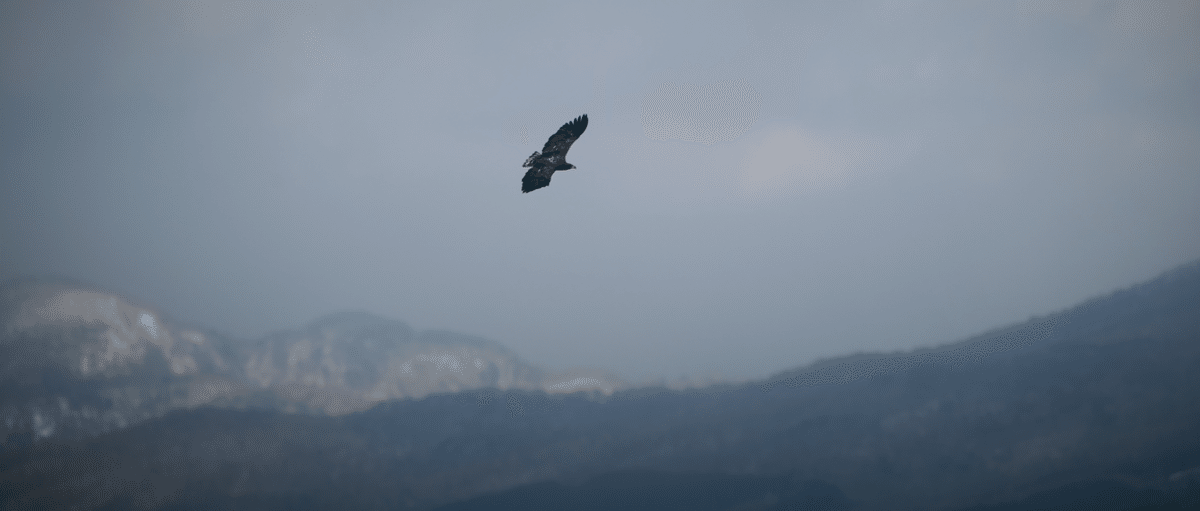 【写真】「寄り」の写真、「引き」の写真｜Yusuke Marianne