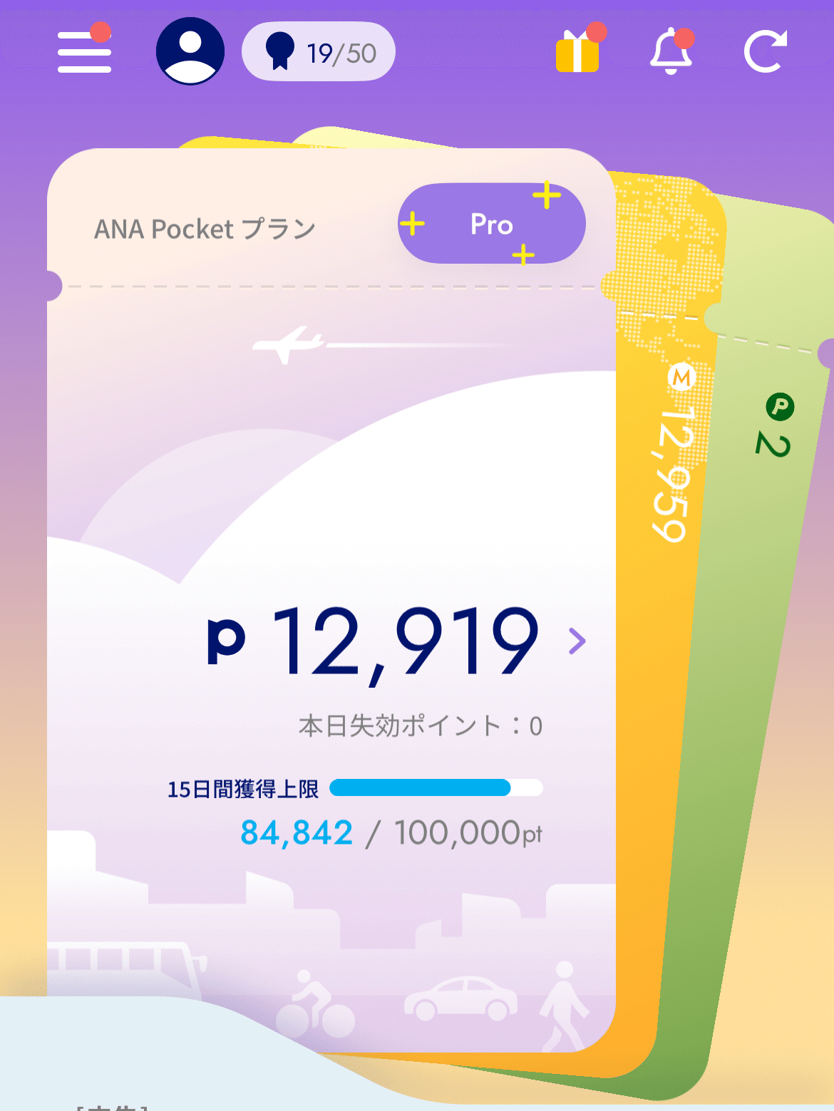 ANA Pocketを一年間使っての正直レビュー｜あおい