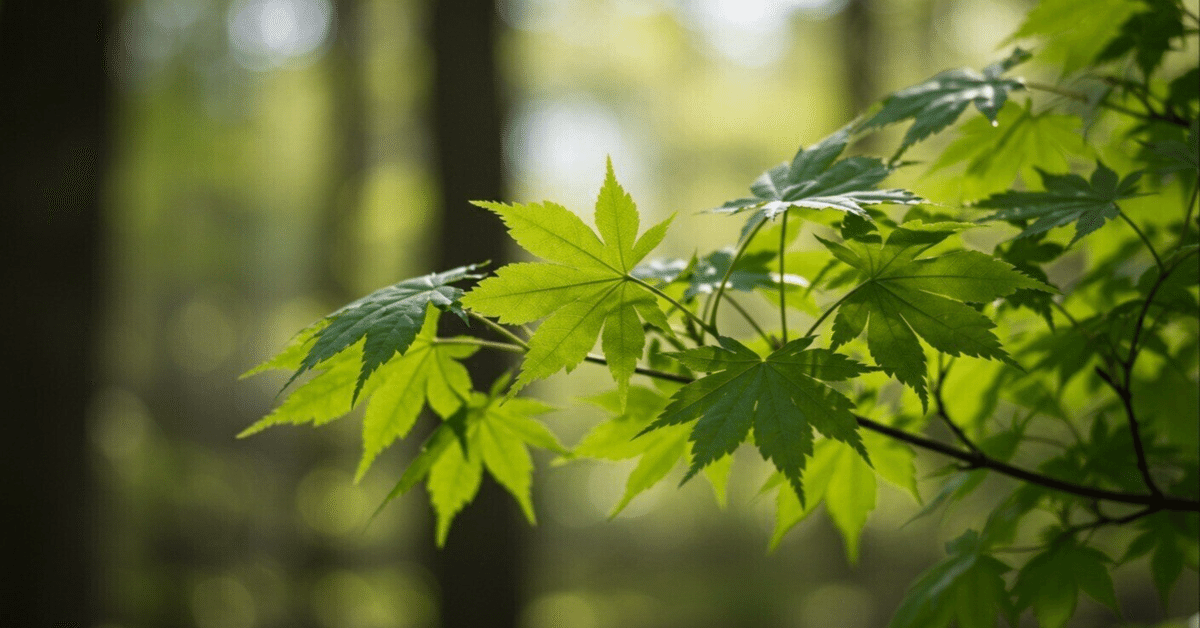 男性ばかりが得をする社会？｜Rumi Kusunoki