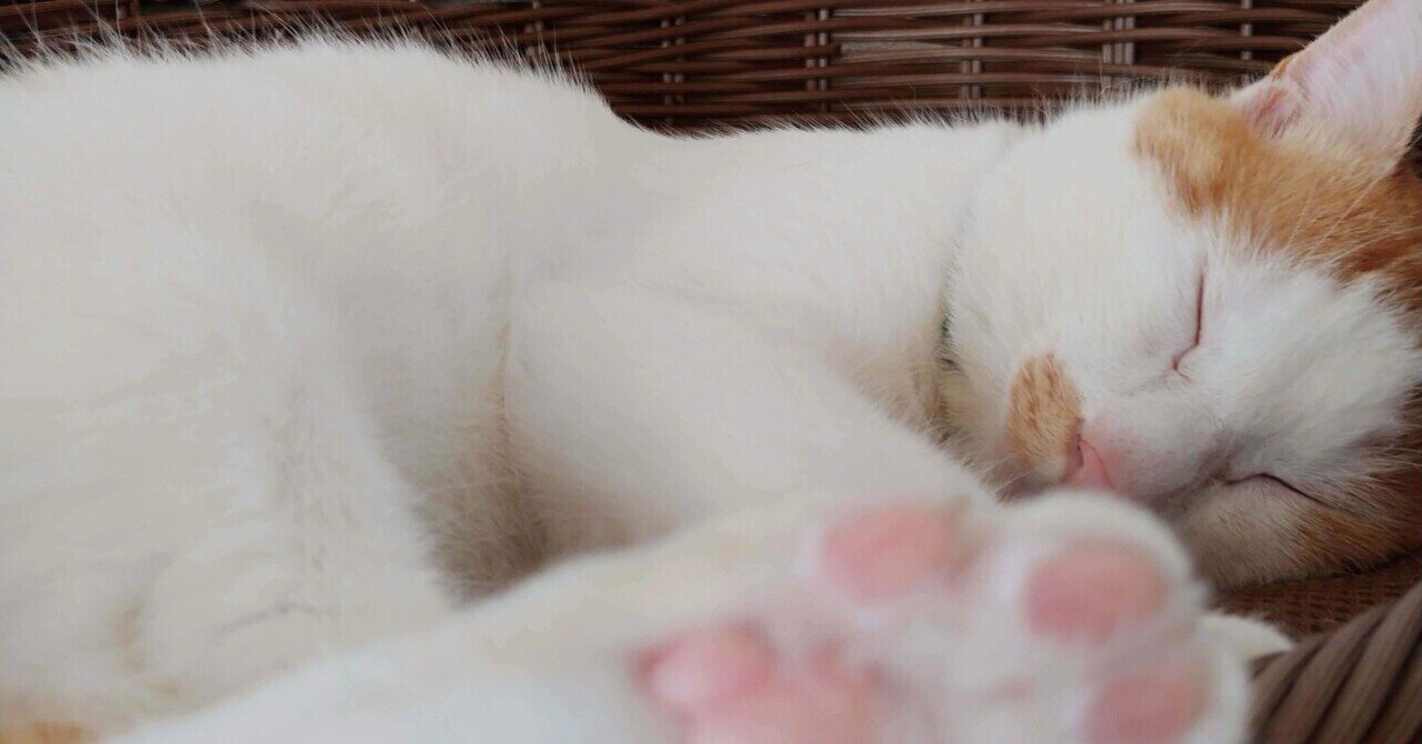 Good Will Hunting｜Chiizz