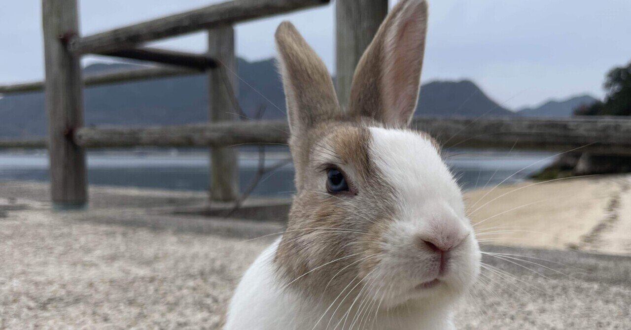 3.13 原爆ドーム→うさぎ島｜cocoro