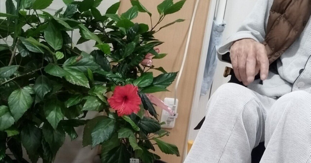 花を愛する人 149日｜i.yuu._.yuu