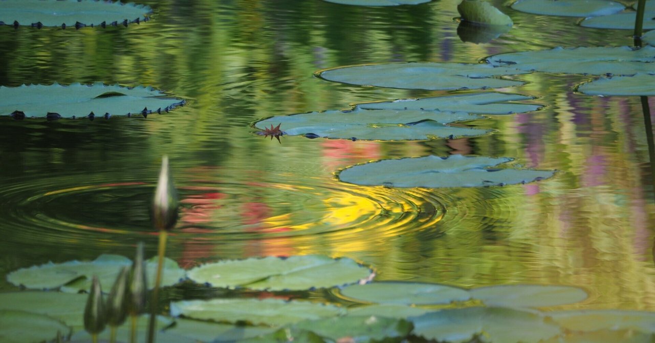 モネの庭×junos限定プラン（8月10日早朝イベント付き）発売｜株式会社junos