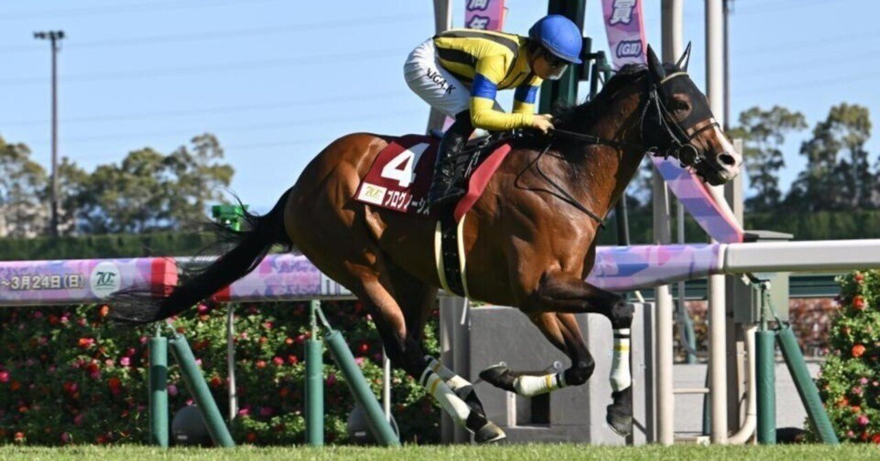【関係者勝負馬】金鯱賞｜競馬裏の裏t