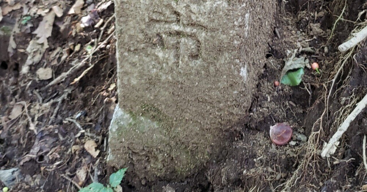 【詩】ドミノ式｜Junigatsu Yota