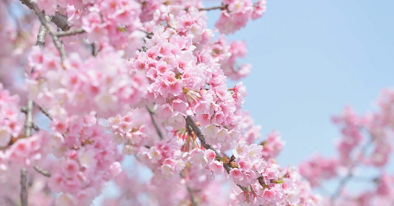 5年って、短くて長いですよね。｜KOMORE CLIAR【コモレ クレール】