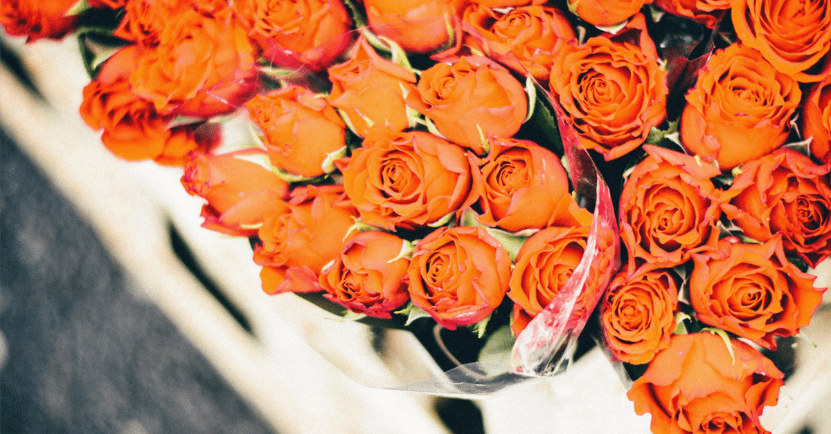 ENFJが語るENFJの落とし方 ️｜大森 純 | Sumi Ohmori