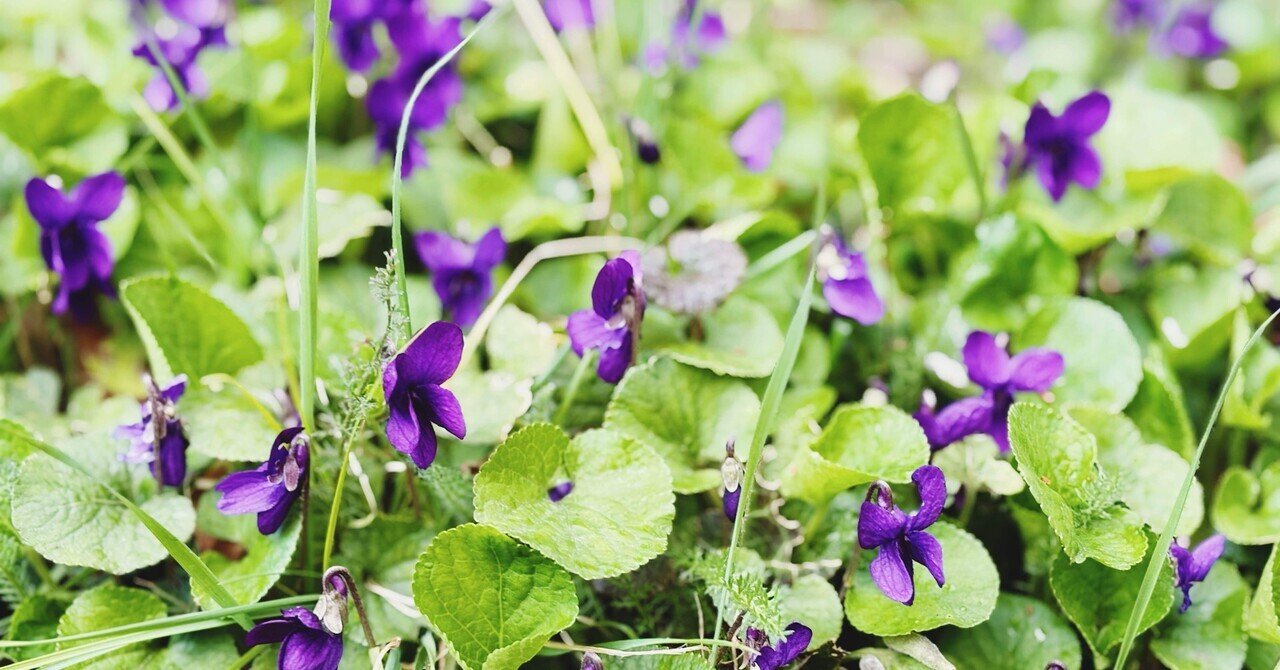 すばらしい愛｜MASAE