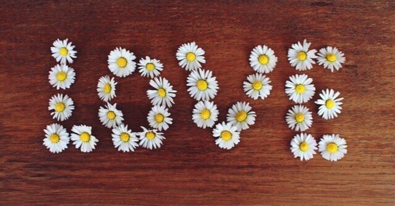 恋CARD - one card - 7｜riho.b