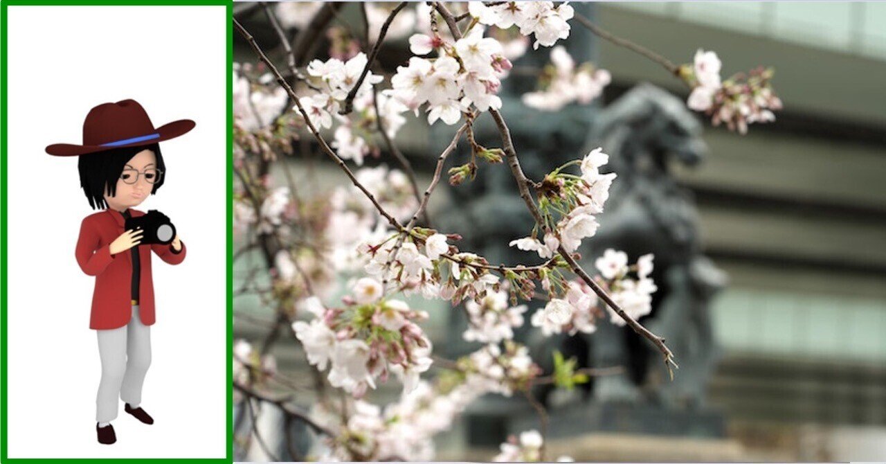 日本橋と桜のコラボレーションは？・・・ - - 写真と街歩き｜Tom.Msn