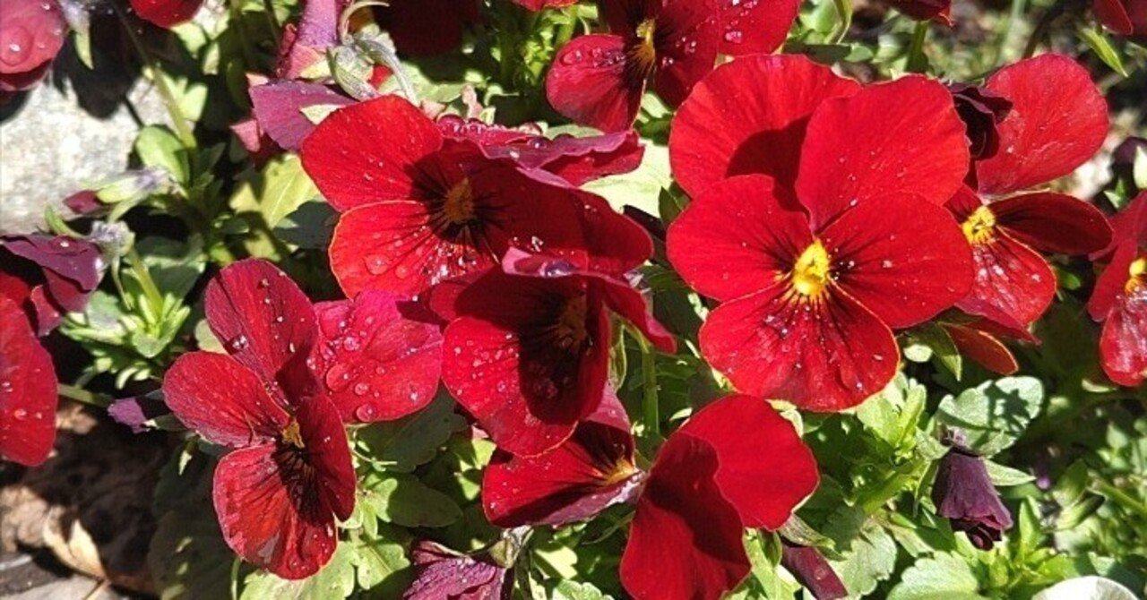 場所と言葉の力。｜yoshimi