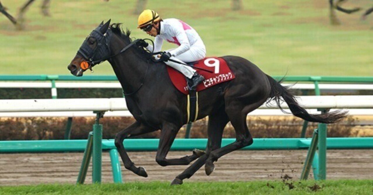 スプリングS 金鯱賞結果｜shige