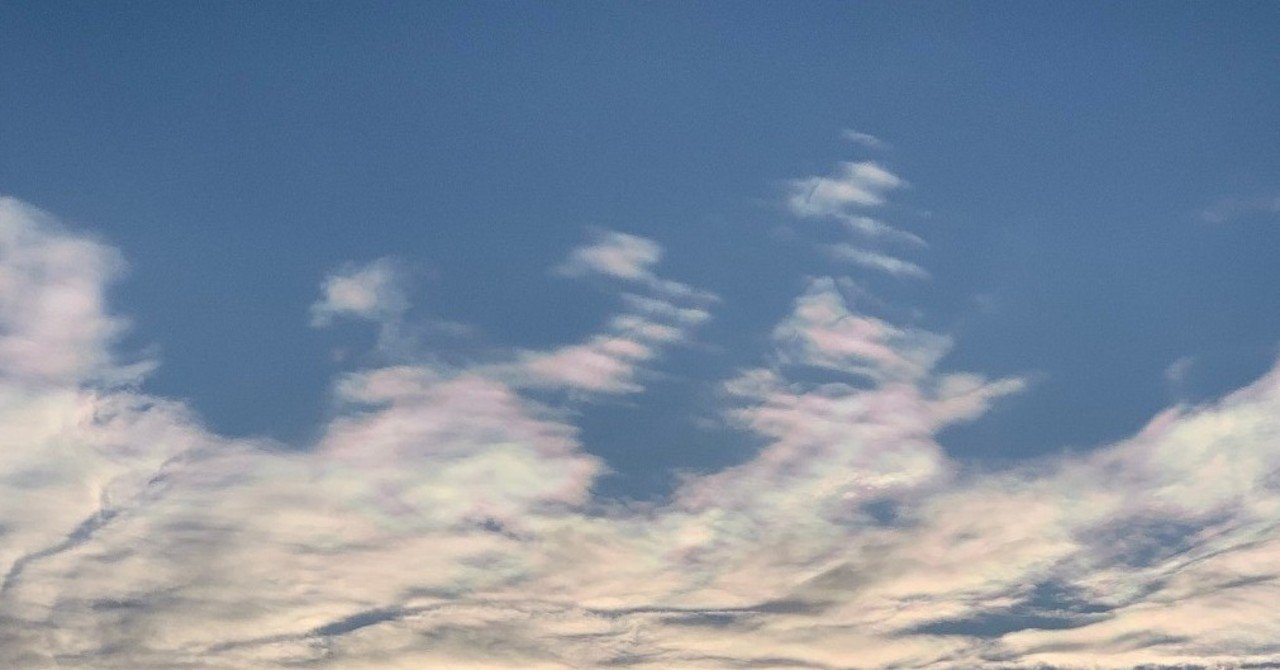 1か月。猫ちゃんとの別れ。そして父。｜OGIRO Shingo｜note