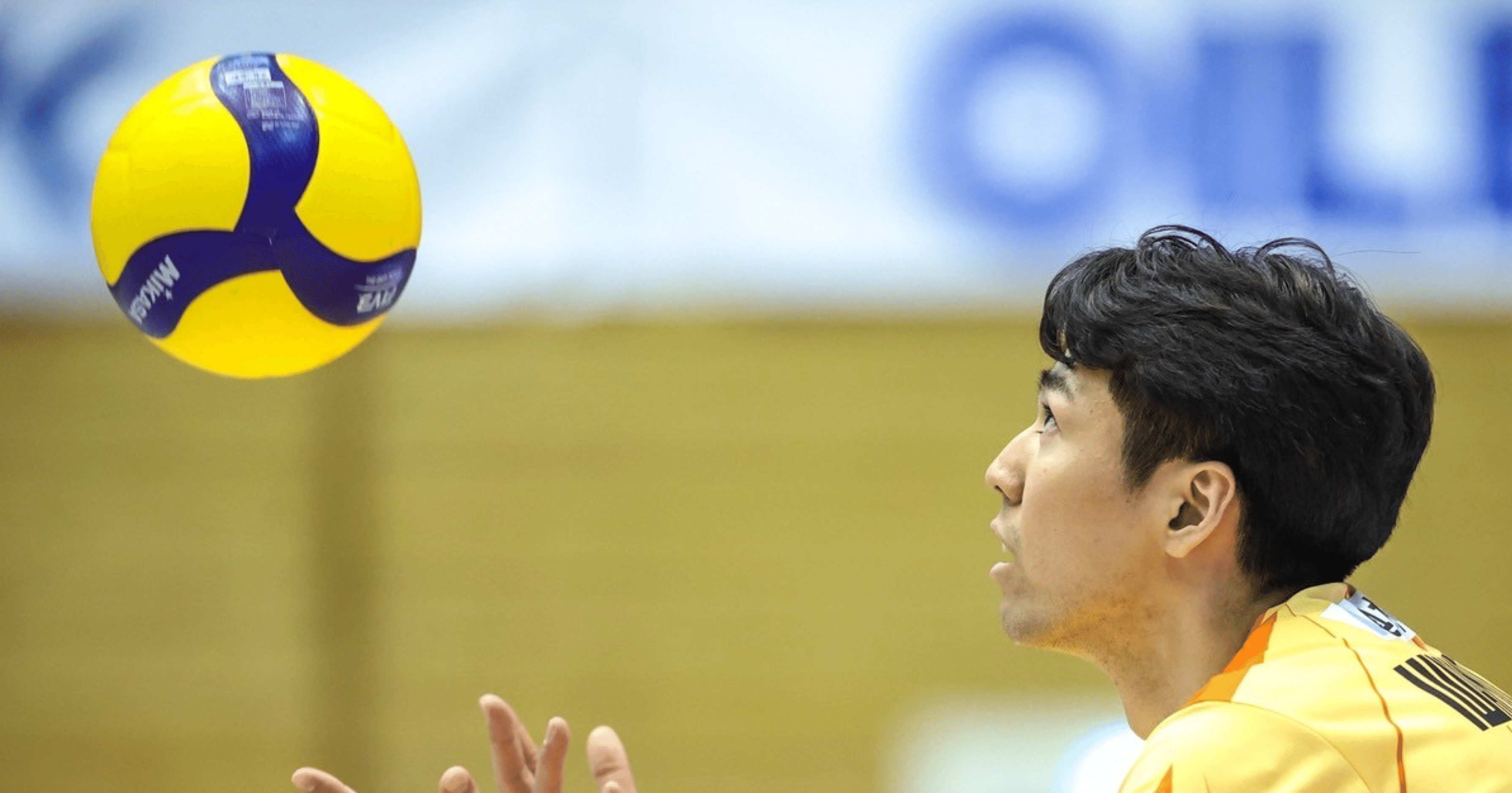 2024-25｜岩本大吾 / Iwamoto Daigo｜note