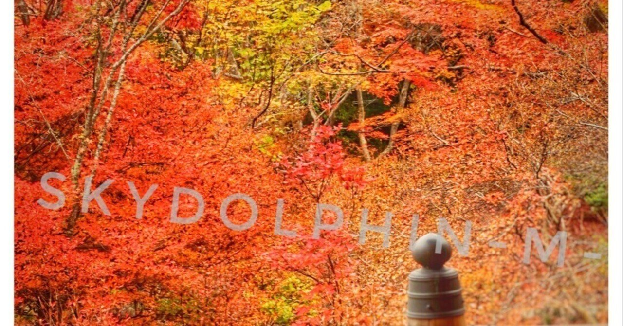 🍁Autumn🍁sample -秋のサンプル-｜Skydolphin-M-