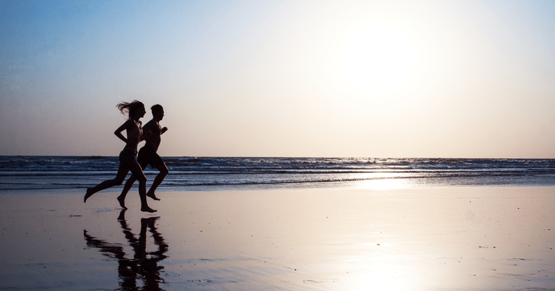 Hiromu CANTERA｜note