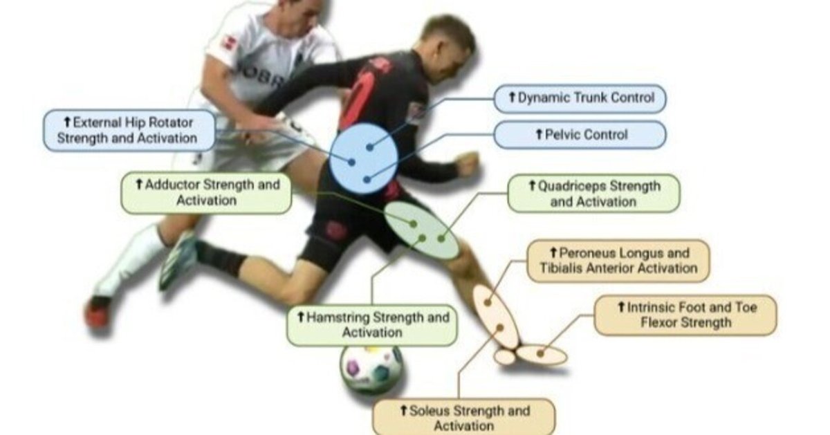 ACL損傷の神経生理学｜Brain storm conditioning 〜 脳からコンディショニング