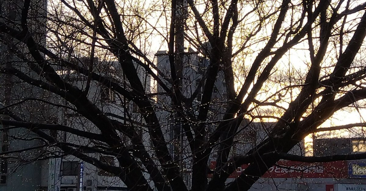 短歌 -樹雨-｜Hiro Funahashi