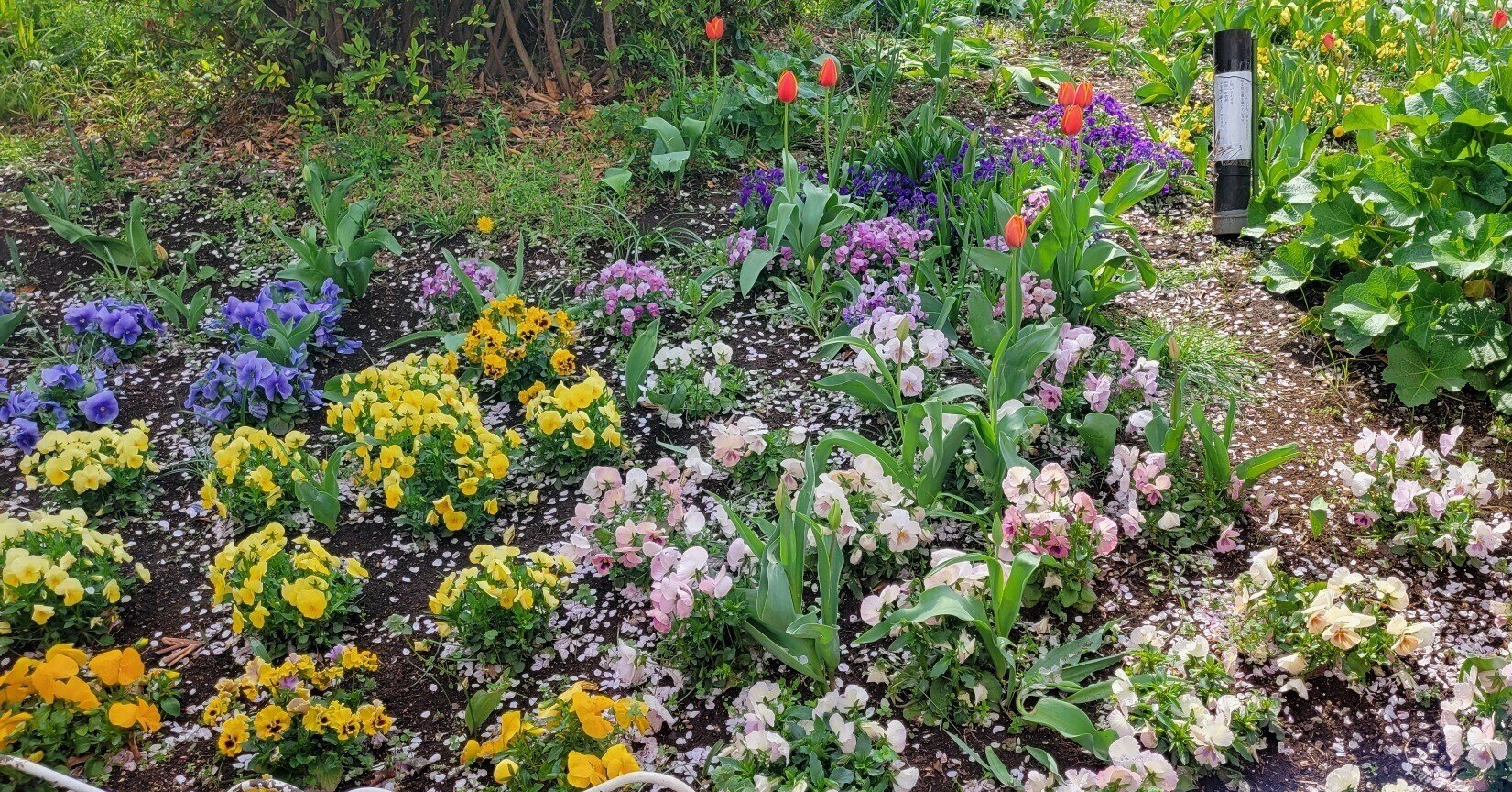 ヤトーヤトナト（yato-）｜note