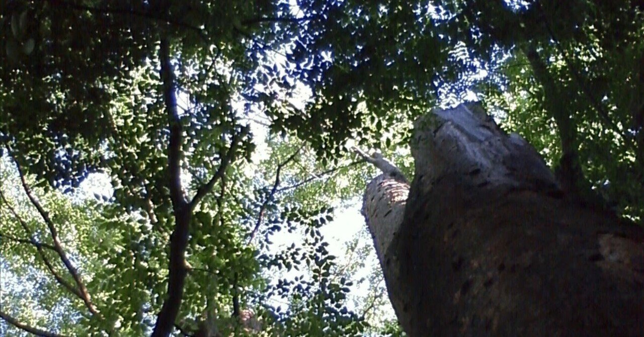 いとくず（一二）｜安藤優 Masaru Ando