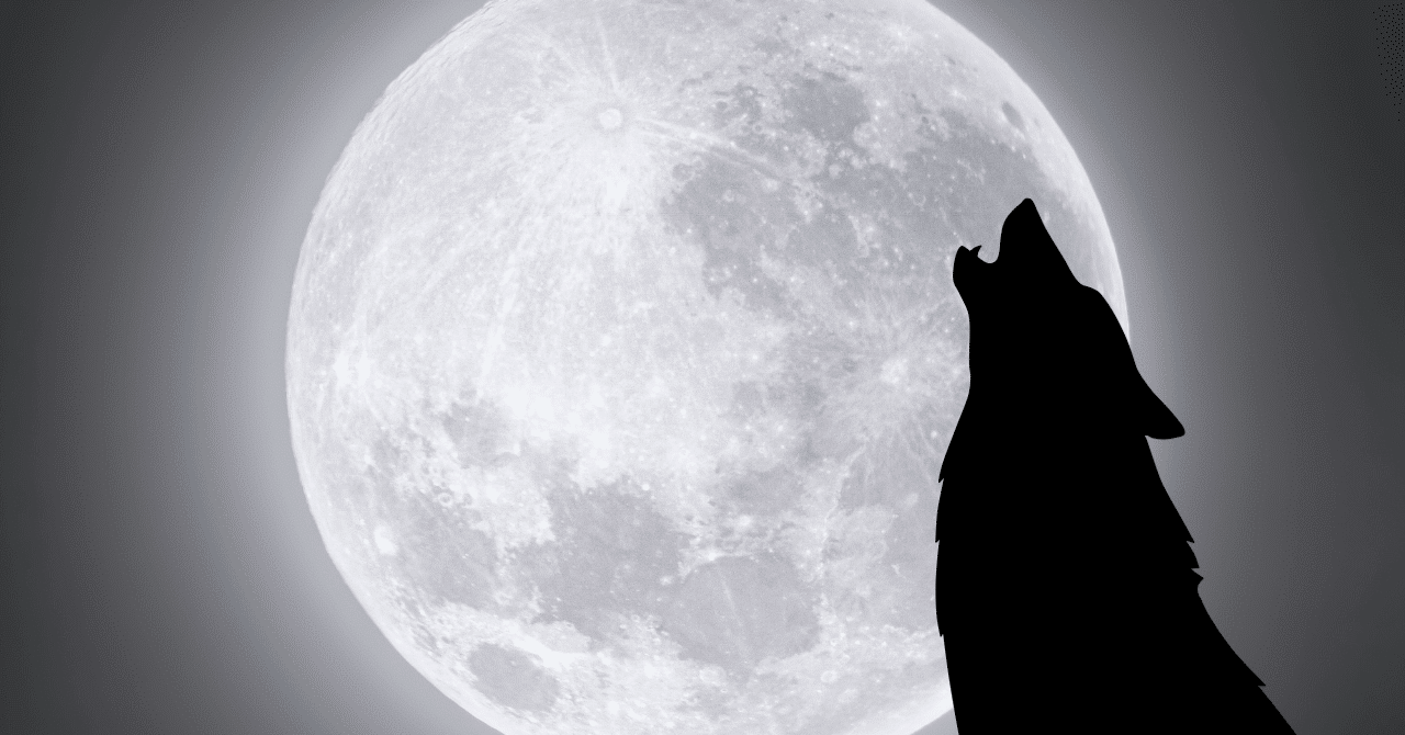 獣人十色【毎週ショートショートnote】｜amanatz