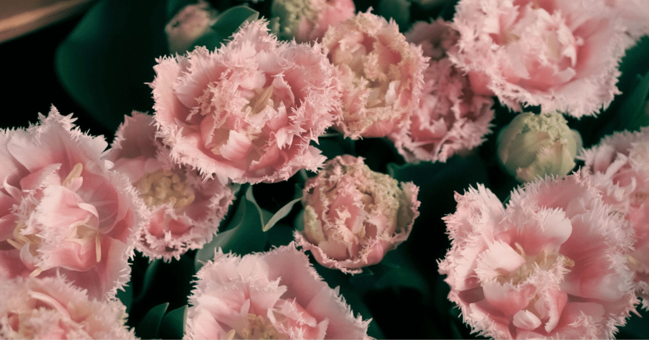 【有せか】文庫本買いたくなってきた！｜neji bit