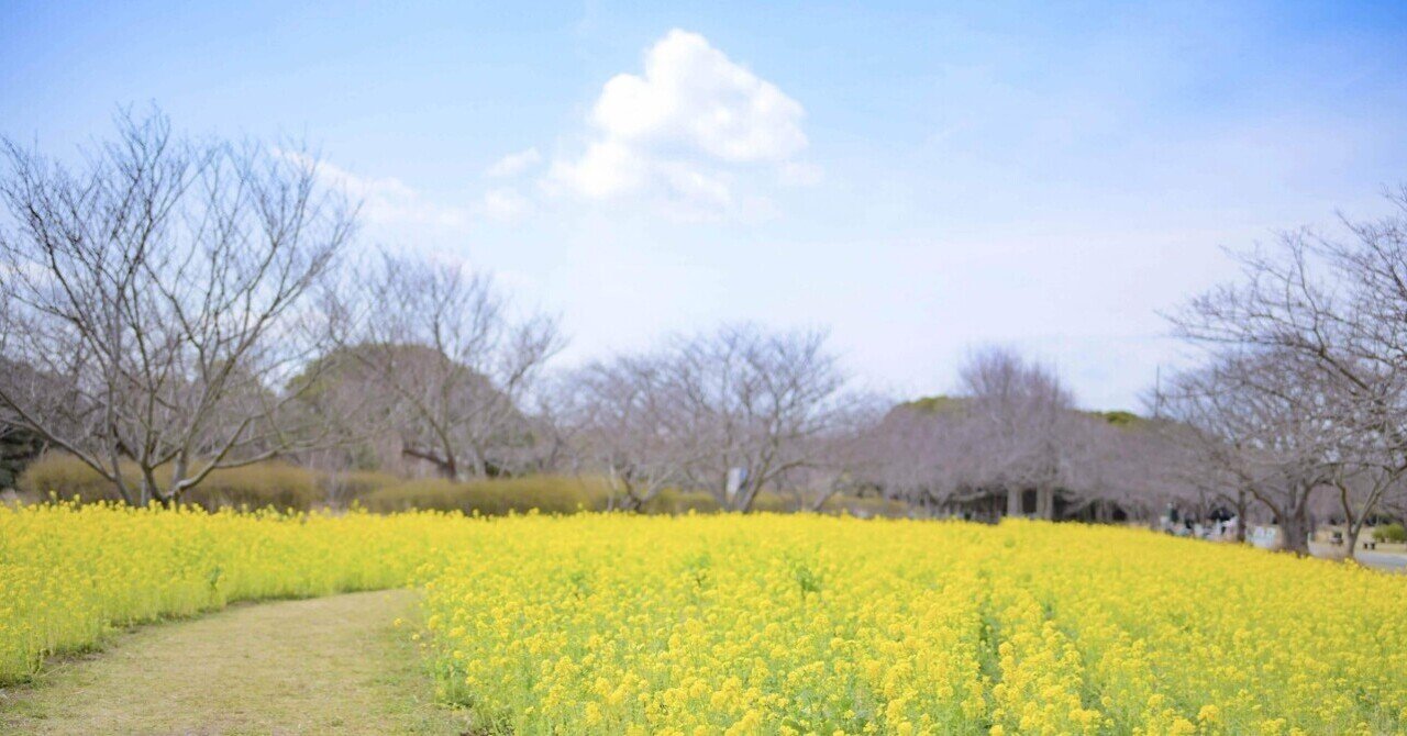 この春やってみたいこと｜KOMORE CLIAR【コモレ クレール】