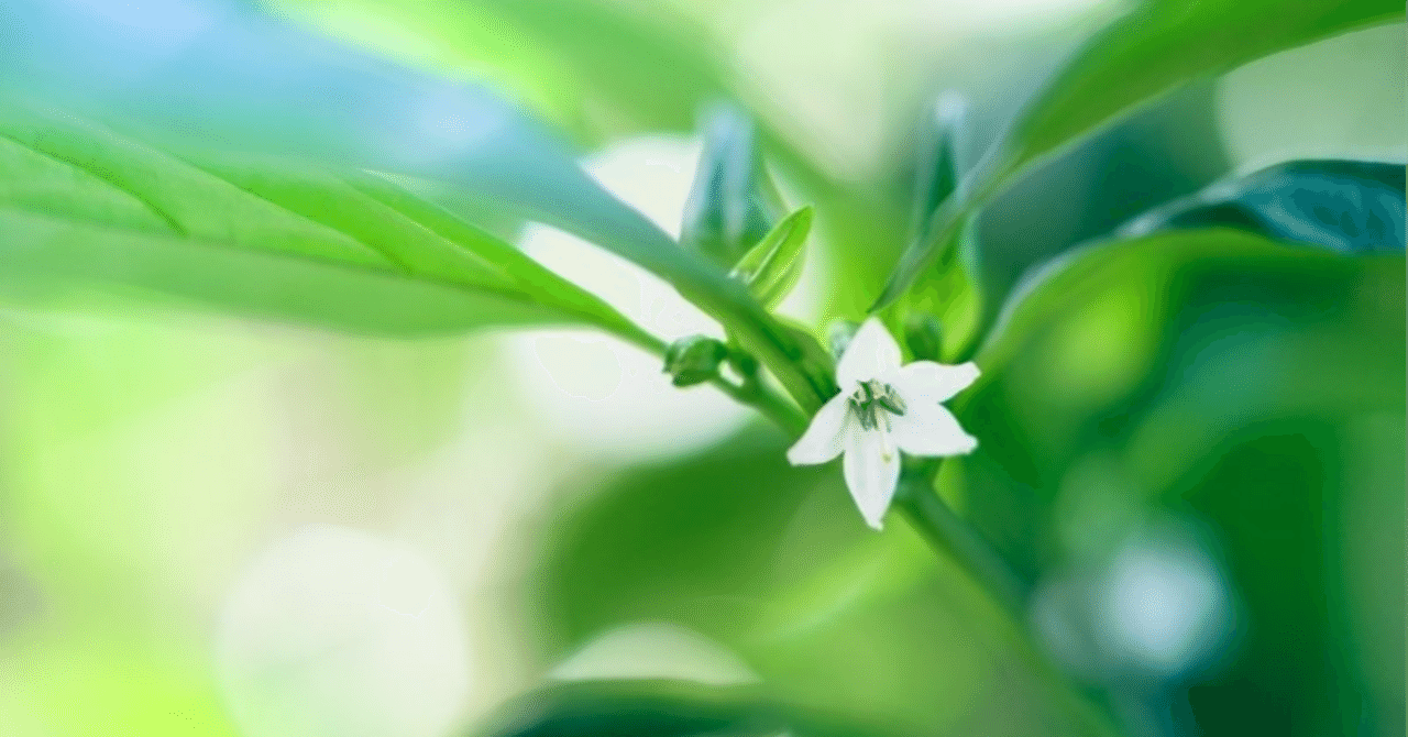 なんで日本人は座る時間が調査対象20ヶ国で最下位なのか不思議｜shalarin☆