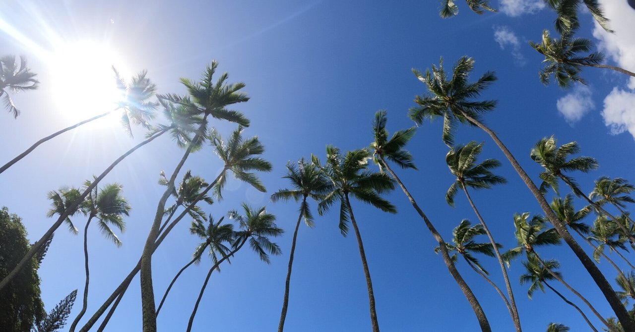 自己紹介 はじめてのnote ｜Mizuki@SB Englishの人