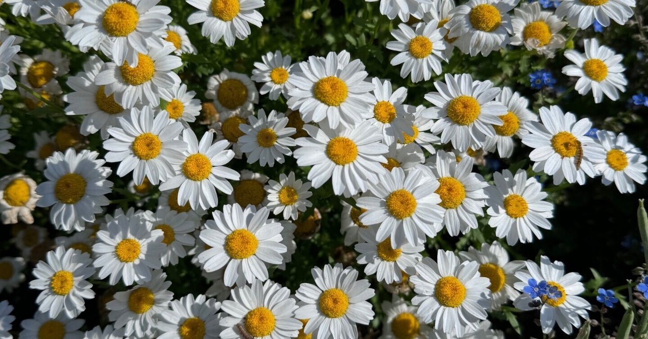 たまたまラッキー｜NAGISA.