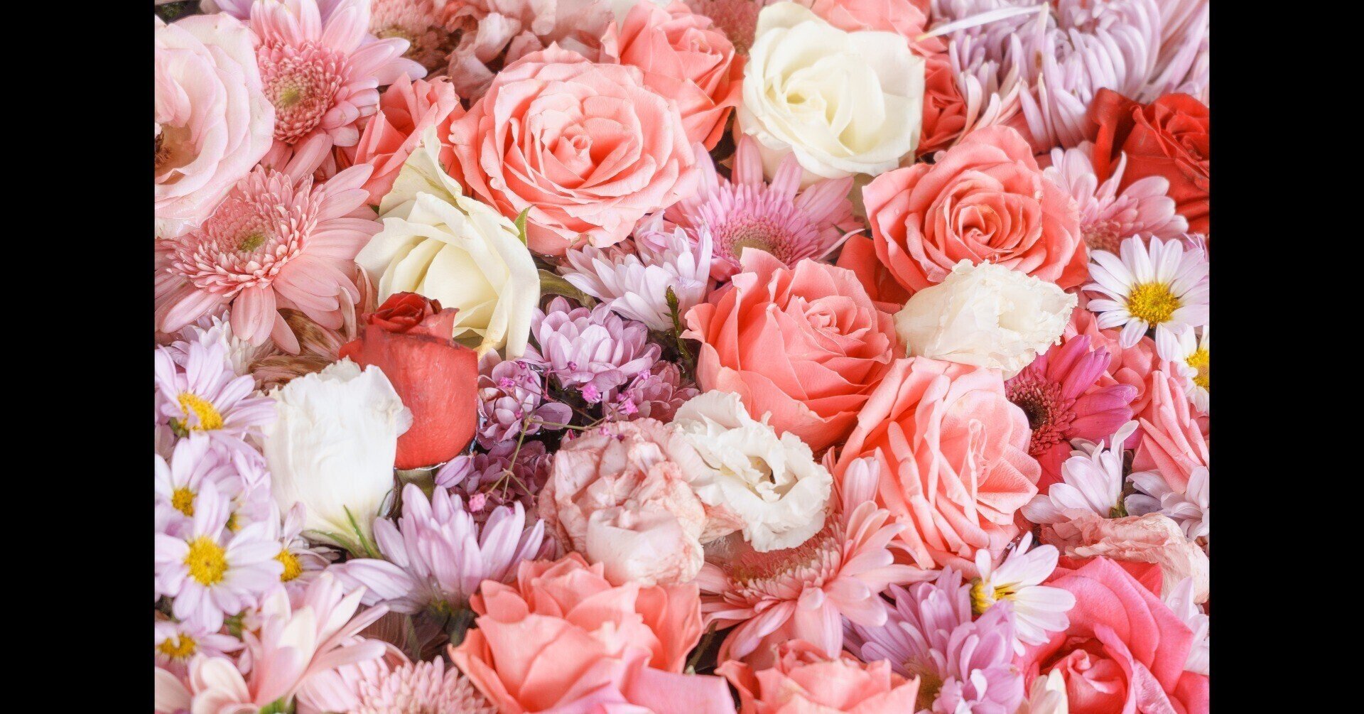 Seina Cecilia Takahashi｜note