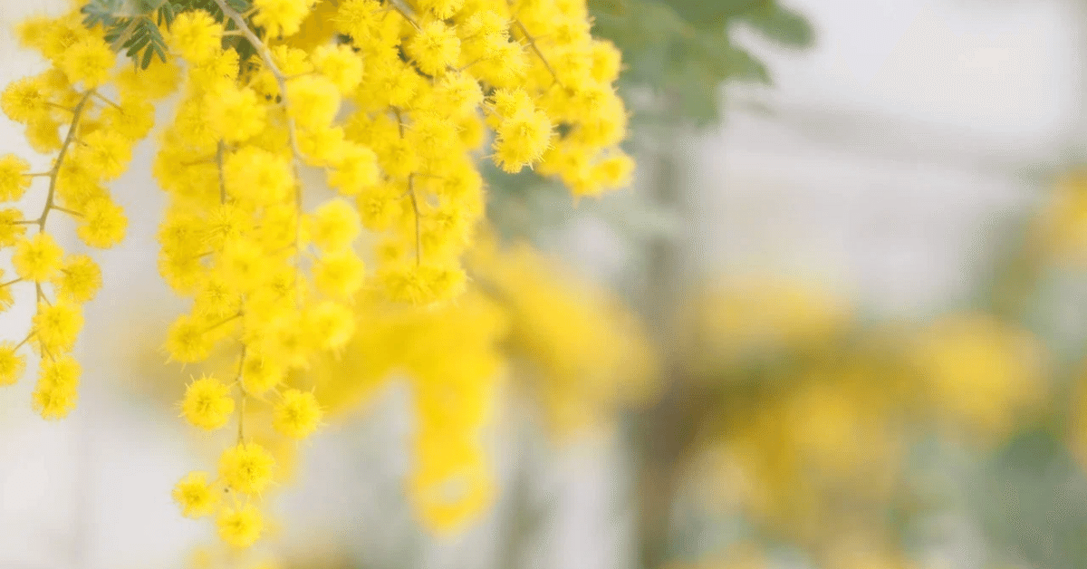 プロローグ1｜hitsuji coya