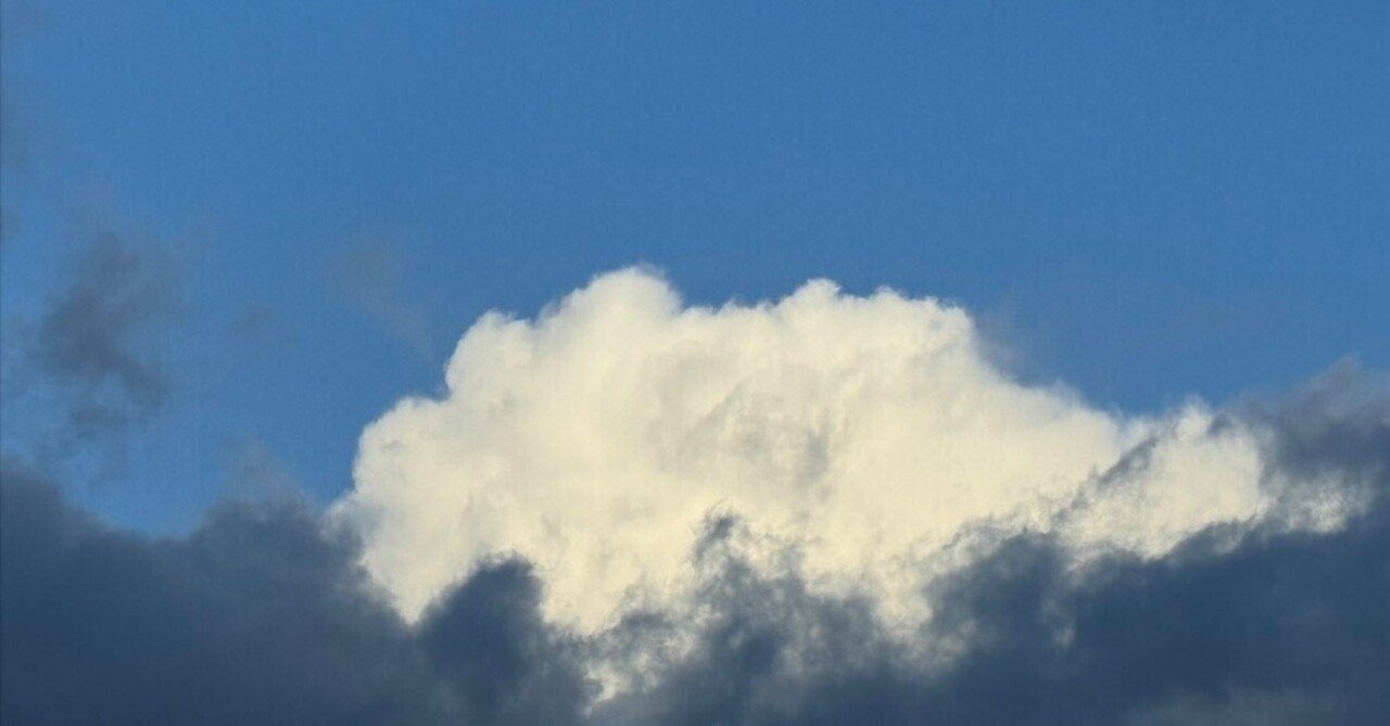 空を見上げる No.68｜happea-nyanko