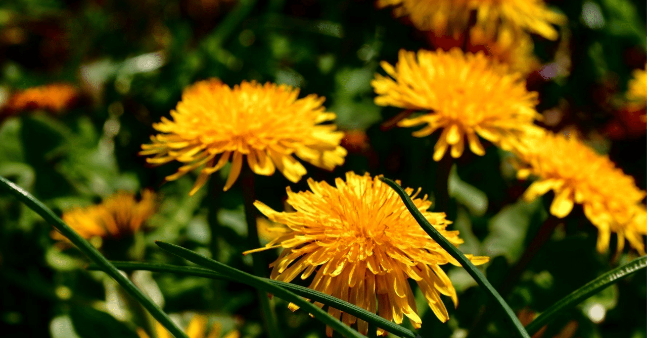 Mr.Coach Day8｜そうた | 夢中進化コーチ