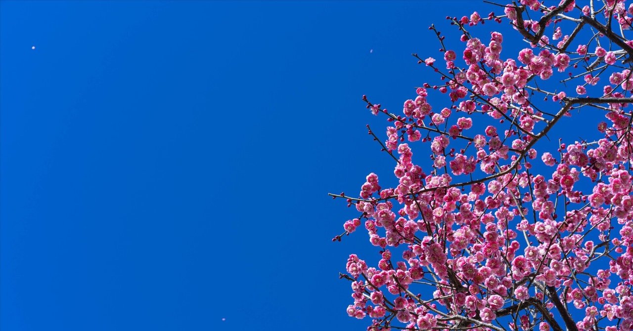 脳に情報を送り続ける現代病｜kanta