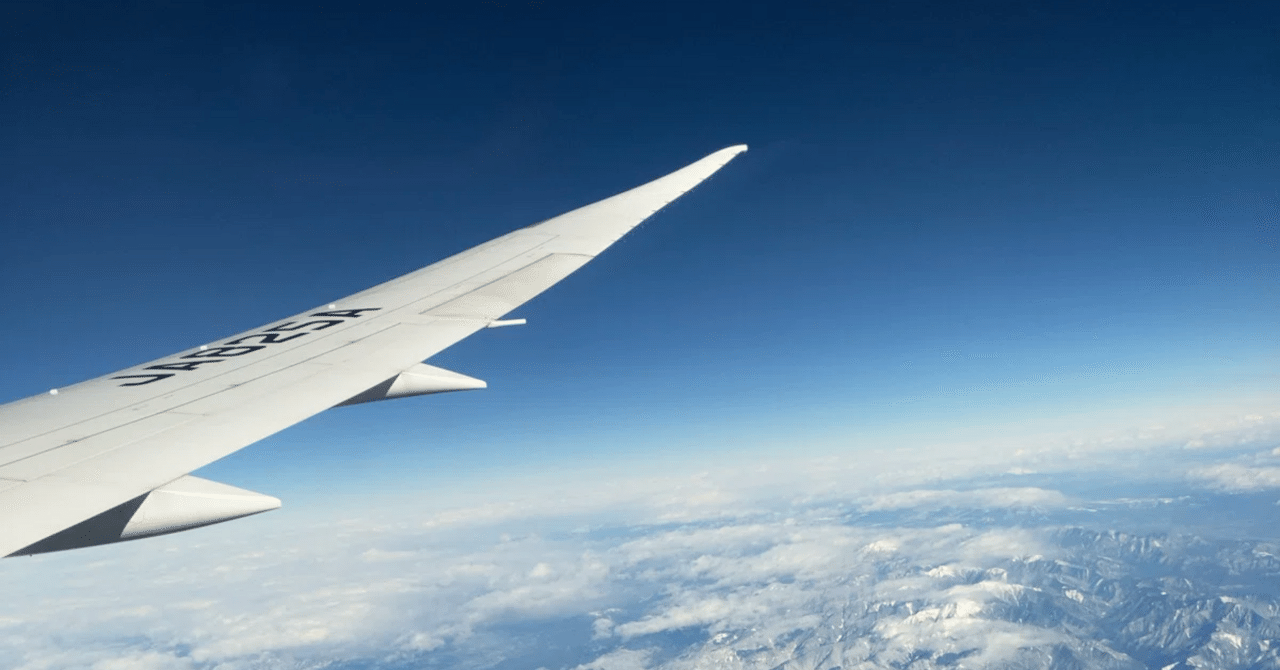 Pooloを振り返って🌱｜Mizuki Shimooka